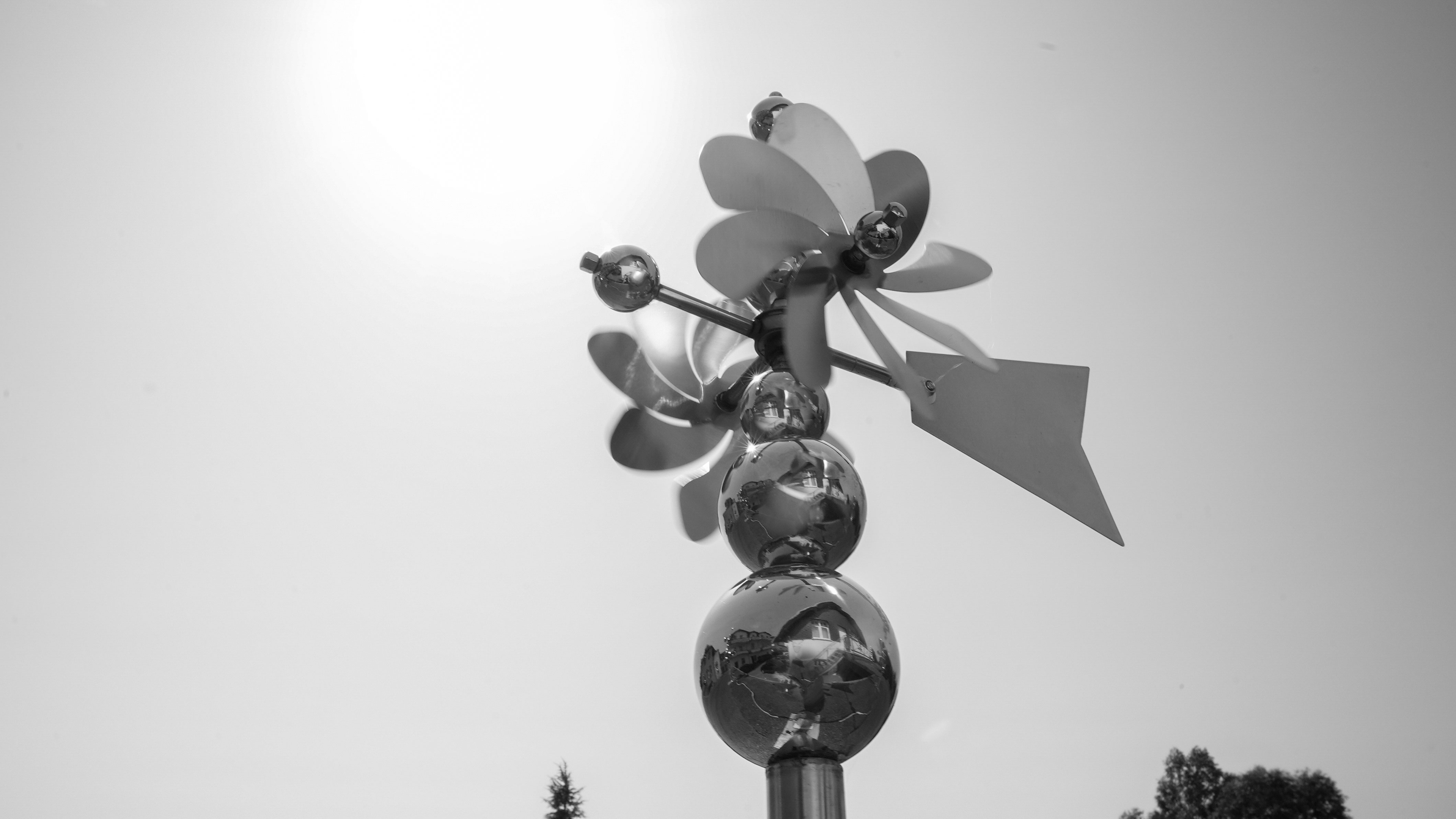 Windrad Rügen - Home