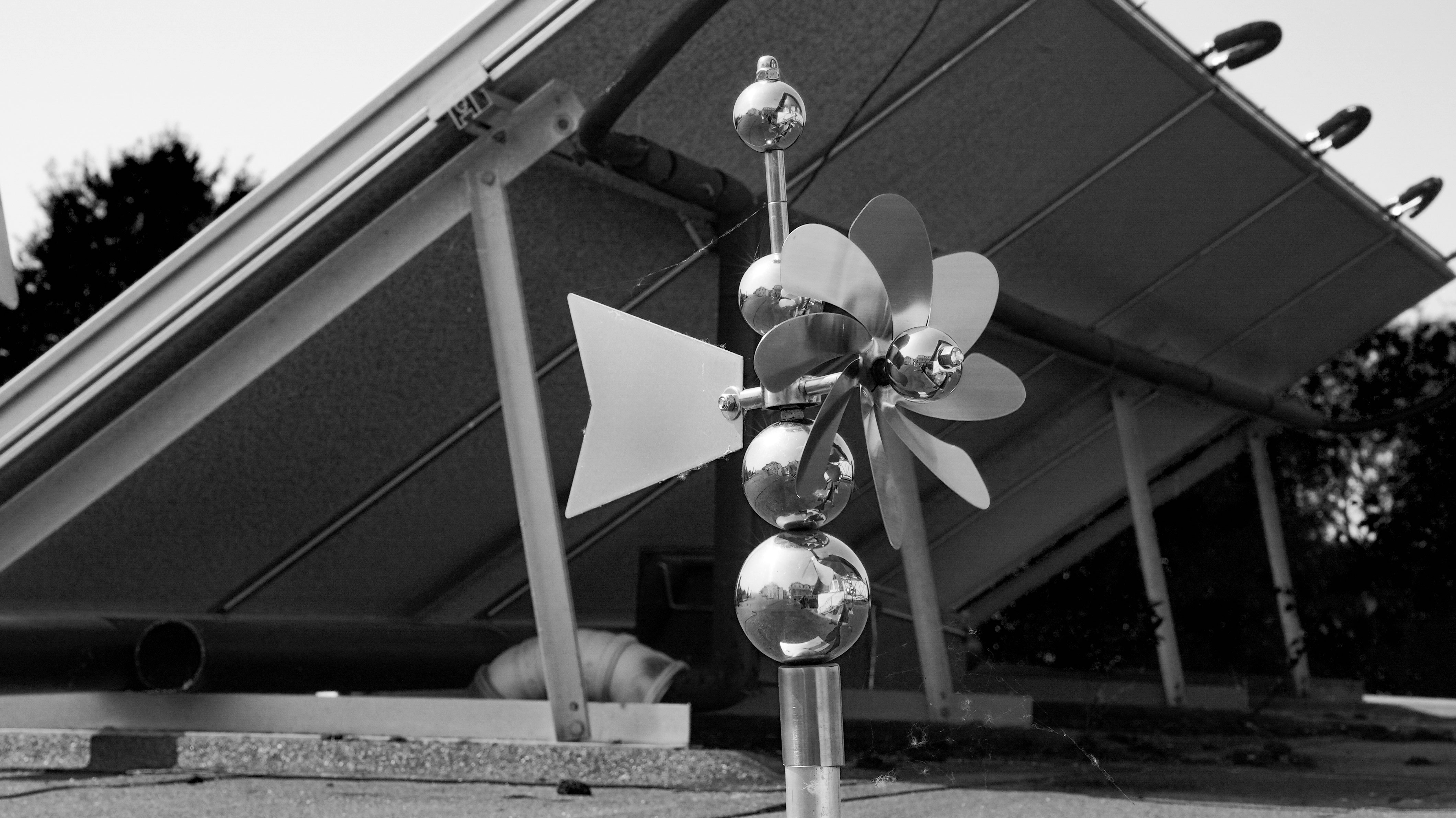 Windrad Rügen - Home